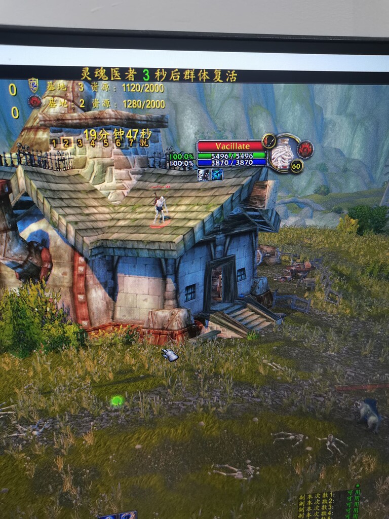 部落猎人卡阿拉希房顶联盟 - Bug Reports BUG反馈 - Everlook Forum